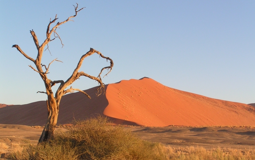 International Symposium on Earth Observation for Arid and Semi-Arid ...